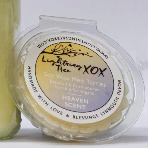 Wax Melts ( Special Offer Set of 6 ) - Lightning Tree Xox Ltd